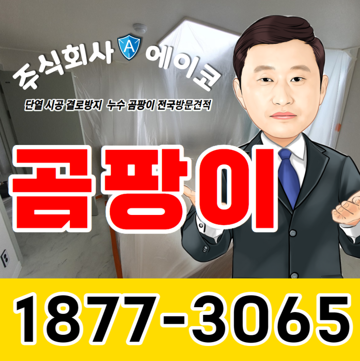 성북구곰팡이제거업체 성동구 강북구벽지 도배 네이버 블로그