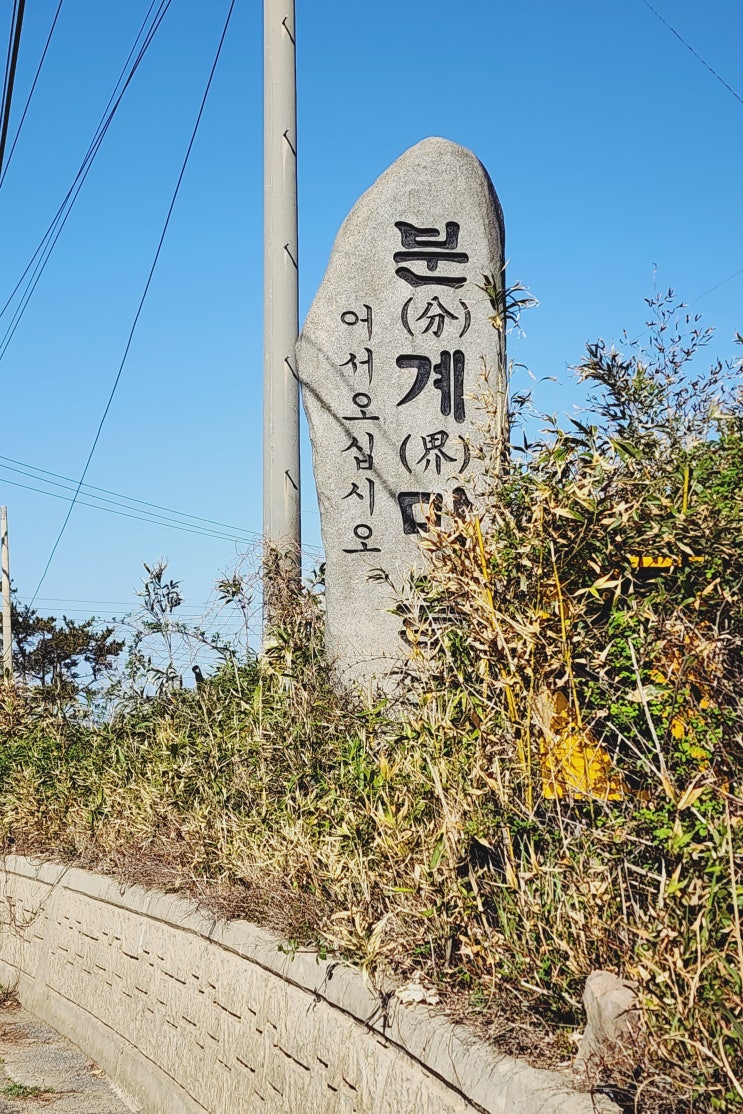 신안 섬여행 자은도 가볼만한곳 분계 해수욕장 여인송숲 네이버 블로그