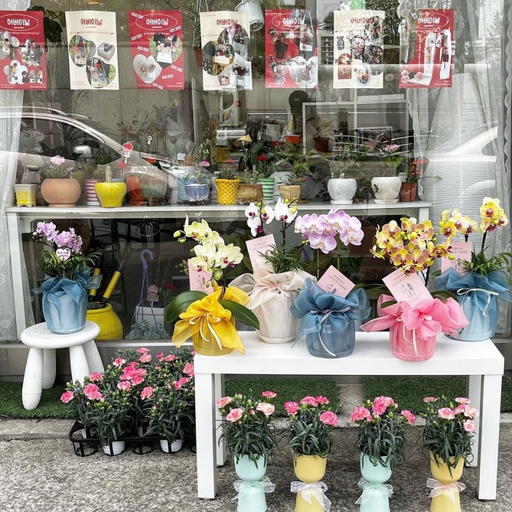 인천 부평꽃집 삼산동꽃집 굴포천역꽃집 부평구청역꽃집 굴포천꽃집 부평구청꽃집 ️어버이날 카네이션꽃다발 카네이션화분 네이버 블로그