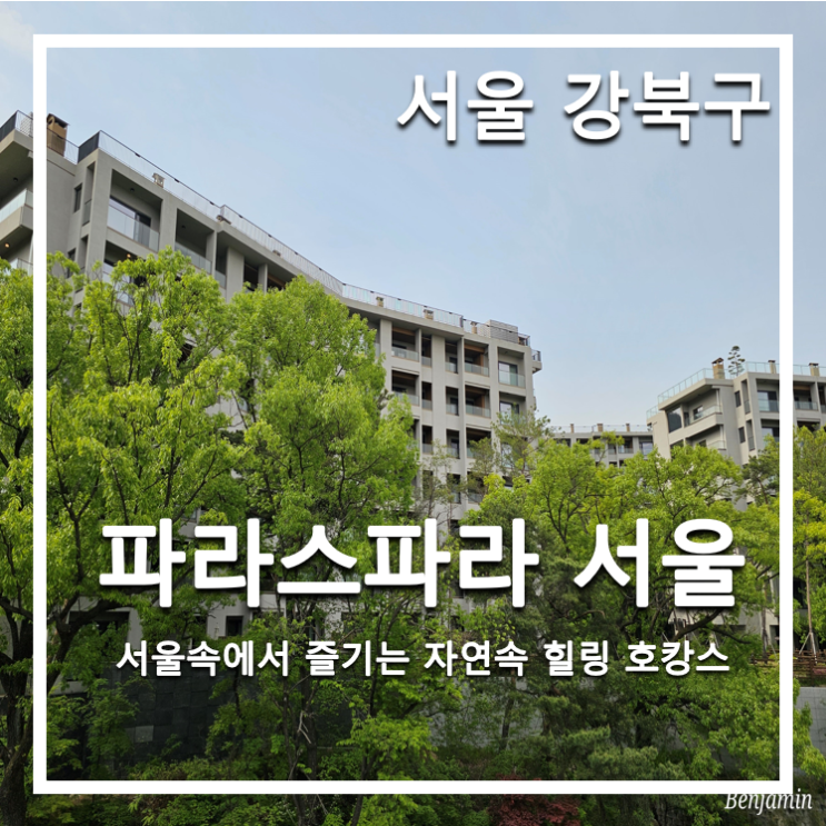 파라스파라 서울서울에서 즐기는 자연 속 호캉스 1 서울 강북구 네이버 블로그