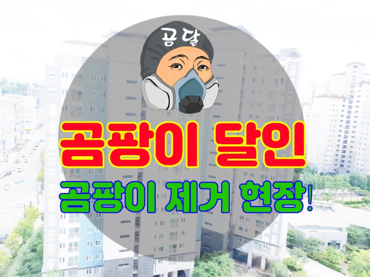 다이소 곰팡이 제거제 보다 깔끔하게 처리하기 네이버 블로그