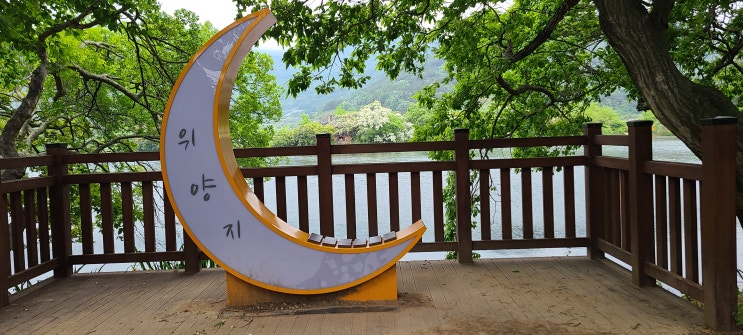 밀양 가볼만한곳 밀양 위양지 이팝나무 : 네이버 블로그