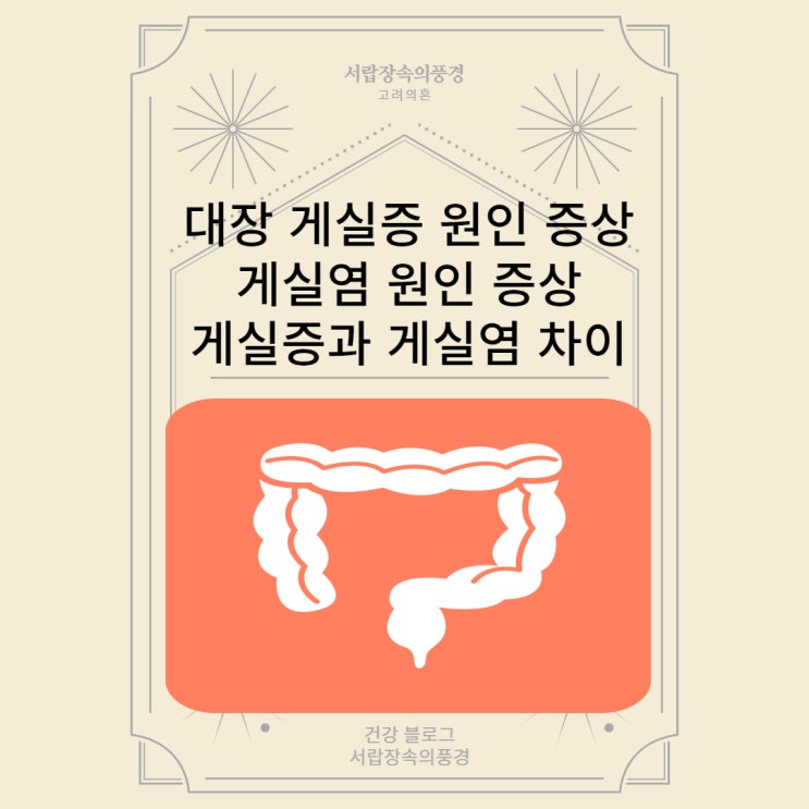 대장 게실증 원인 증상 치료 게실염 원인 증상 합병증 대장게실증과 게실염 차이 네이버 블로그