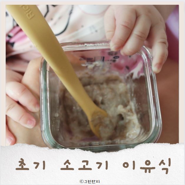 이유식 소고기 부위 초기이유식 소고기 큐브 토핑 만들기 네이버 블로그