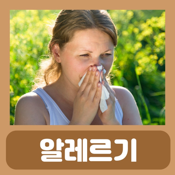 약국 알레르기약 항히스타민제 투리온 클라리틴 알레그라 알레그라정 클라리틴정 로라타딘 베포타스틴 펙소페나딘 네이버 블로그