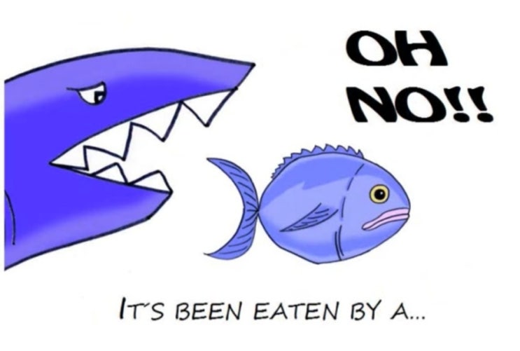 slippery fish swimming in the water, tuna fish : 네이버 블로그