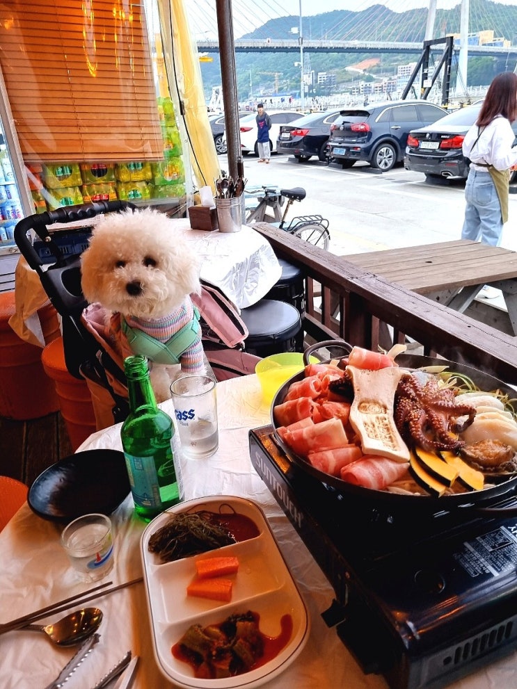 여수 여행 꼭 가봐야하는 낭만포차 맛집 낭만포차23번 애견동반 식당 네이버 블로그