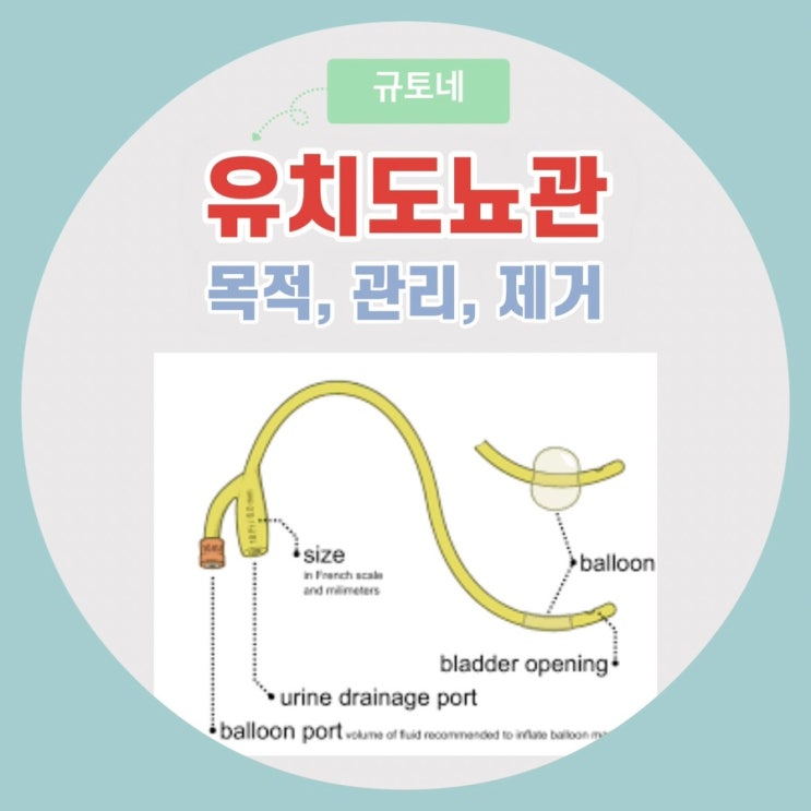 foley catheter 유치도뇨관 목적 관리 제거 : 네이버 블로그