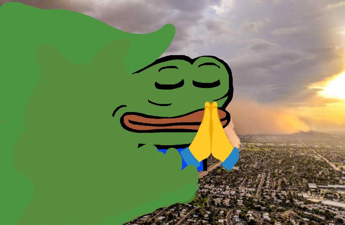 역사에 남을 트레이드: long PEPE, short SHIB : 네이버 블로그