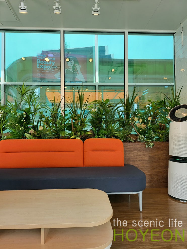 파티션화분,인조화분,실내조경 인테리어연출-대구엑스코 휴게공간 작업후기 : 네이버 블로그