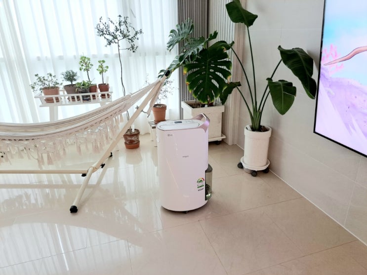 LG전자 제습기 휘센 듀얼 인버터 20L DQ202PGUA 엘지 제습기 골드 추천 / 골드 블루 핑크 색상차이 : 네이버 블로그