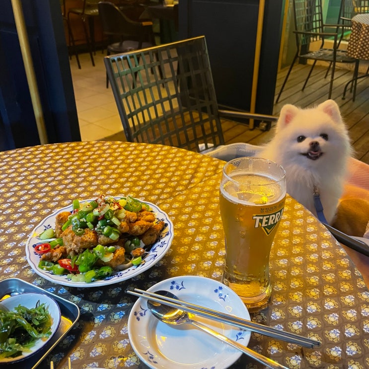 강아지 동반 술집 오산 세마역 맛집 N번째 방문 중인 요리주점 세마밤 네이버 블로그