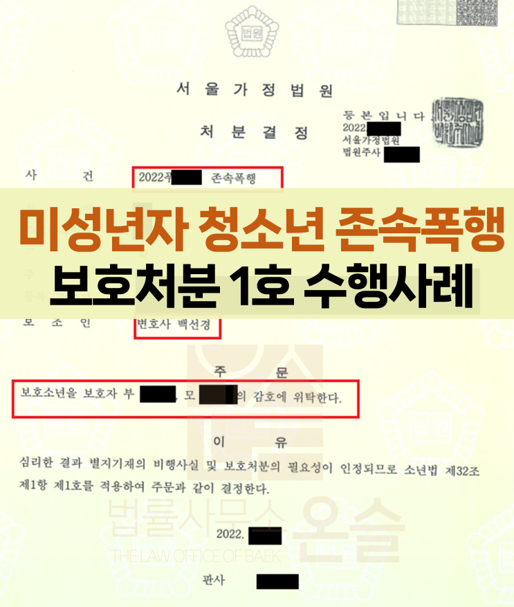 미성년자 청소년 존속폭행 수행사례소년법 전문 변호사 네이버 블로그