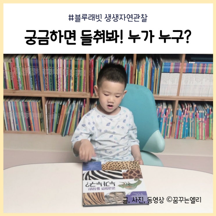 6세책추천 자연관찰책 책육아 로 호기심 채우기 네이버 블로그