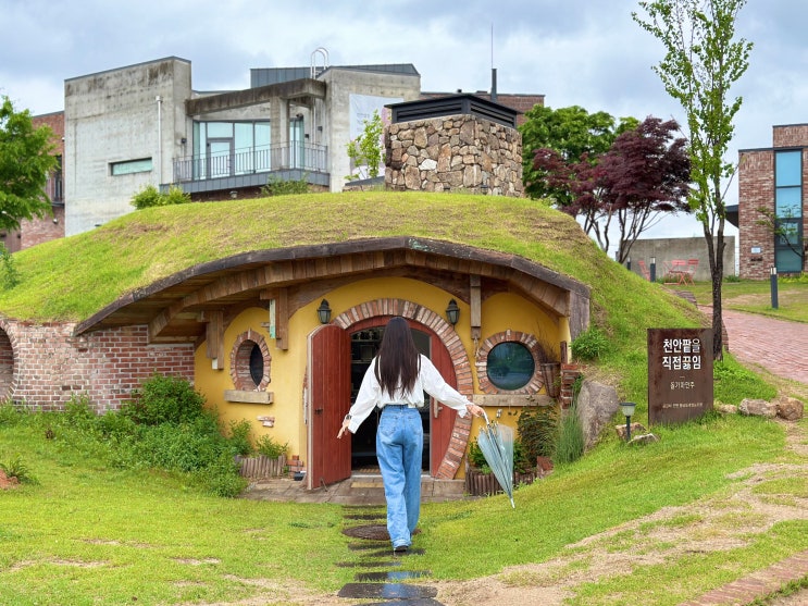 천안 여행 뚜쥬르 빵돌가마 데이트 코스 추천 맛있는 빵집 케이크 종류 어버이날 카네이션 케이크 네이버 블로그