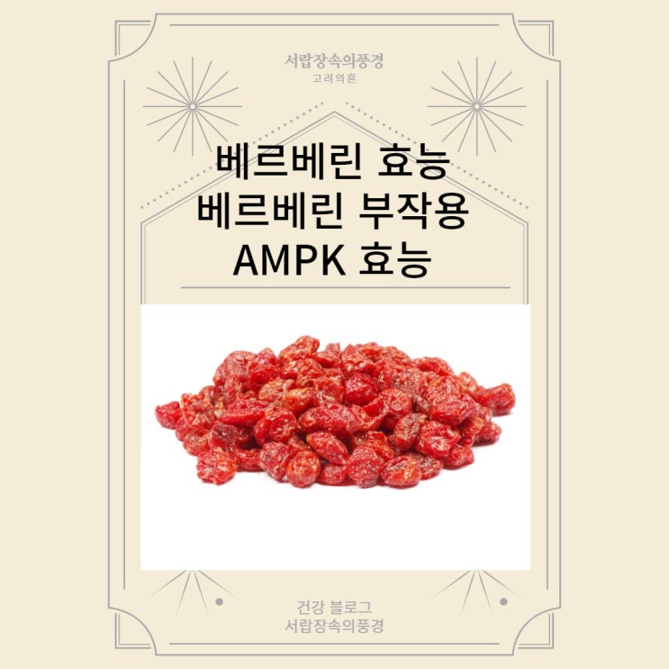 베르베린 효능 버버린 효능 Ampk 효소 효능 베르베린 부작용 네이버 블로그