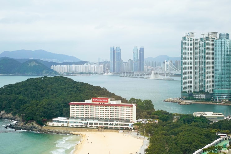 부산 해운대 숙소 코오롱 씨클라우드 호텔 이그제큐티브 스위트 오션뷰 네이버 블로그
