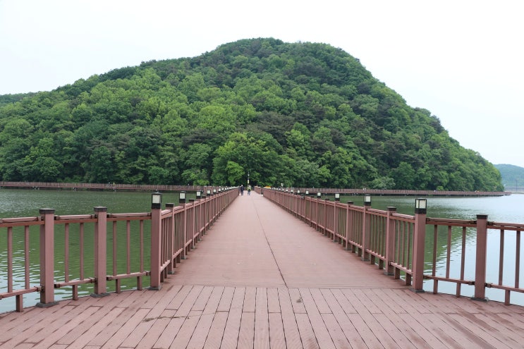 군포가 볼만한 곳 반월호수 반월호수 둘레길 군포 분위기 좋은 호수 네이버 블로그