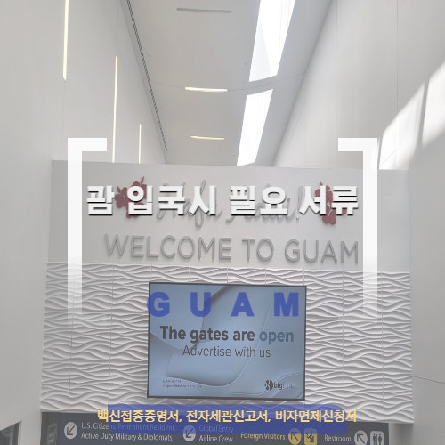 괌 여행 전자세관신고서 비자 작성방법 및 백신 증명서 발급방법 네이버 블로그