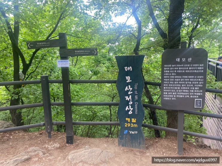 서울 대모산 등린이 완전 강추 강남 한복판 대모산 등린이 추천산 서울 산 대모산 등산코스 강남 산