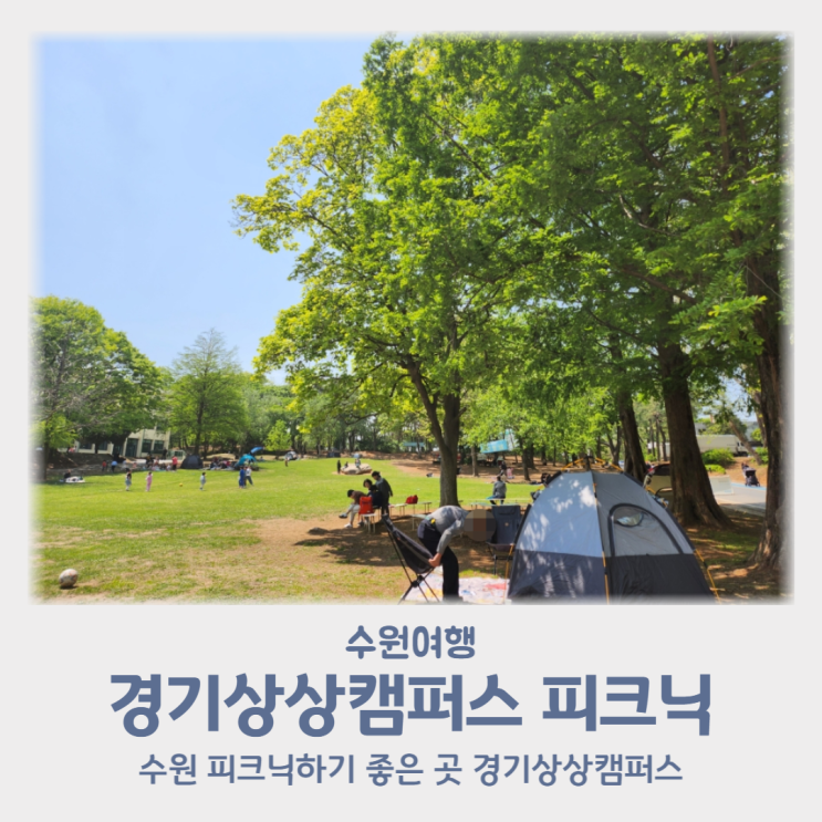 수원가볼만한곳 경기상상캠퍼스 수원피크닉 준비물꿀팁 봄소풍 장소추천🌸잔디밭 나무그늘에서 가족피크닉 네이버 블로그