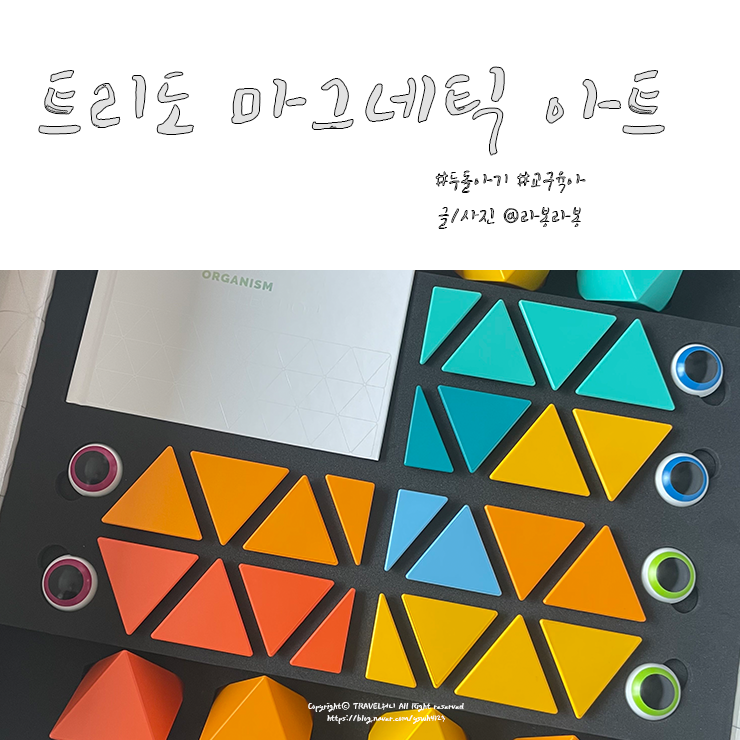 트리도 마그네틱 아트 두돌아기 자석블럭 창의력 꽃피우기 네이버 블로그