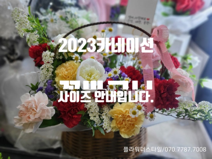 카네이션꽃바구니 카네이션 꽃바구니밝은 색상파스텔색상화분캐리어 일산주엽역꽃집플라워더스타일 네이버 블로그