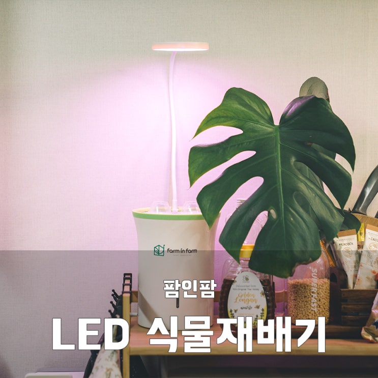 홈가드닝 팜인팜 식물재배기로 수경재배 식물키우기 네이버 블로그