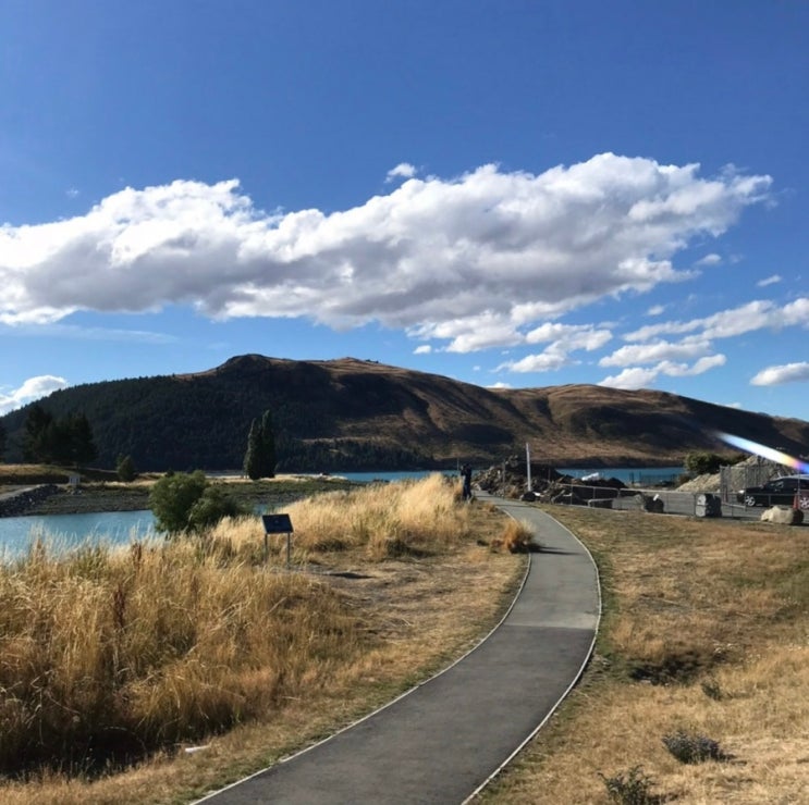 [뉴질랜드 여행] 파워J의 뉴질랜드 남섬/북섬 7박8일 여행 계획 코스 일정 공유 : 네이버 블로그