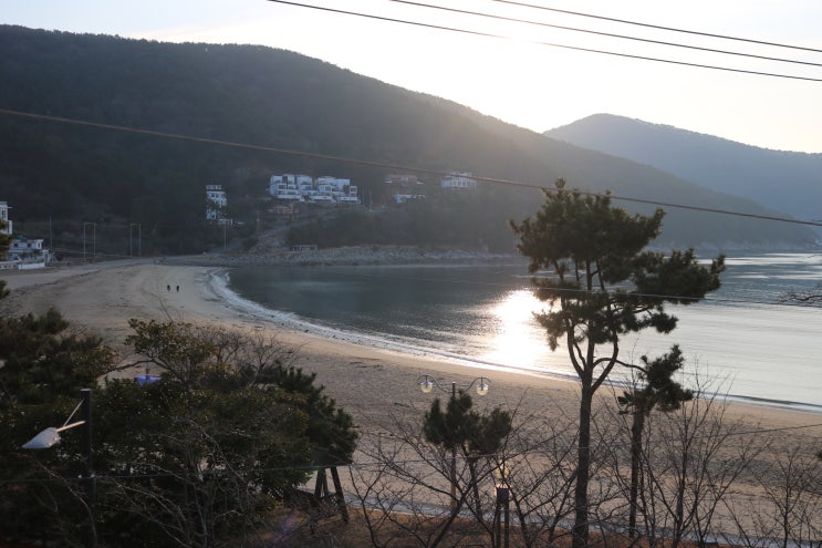 거제도 펜션 돈키호테펜션 가성비 좋은 와현해수욕장 숙소 네이버 블로그
