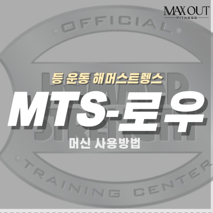 해머스트렝스 MTS ROW 머신에 대해서 알아보자! : 네이버 블로그