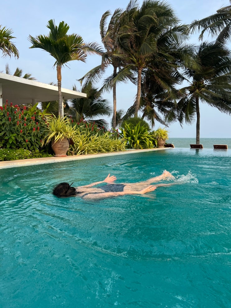 7박8일 나트랑&달랏&무이네 베트남 여행-1 (무이네 프라이빗밴 이동 & 민카호텔 & 빌라아리아 ) : 네이버 블로그