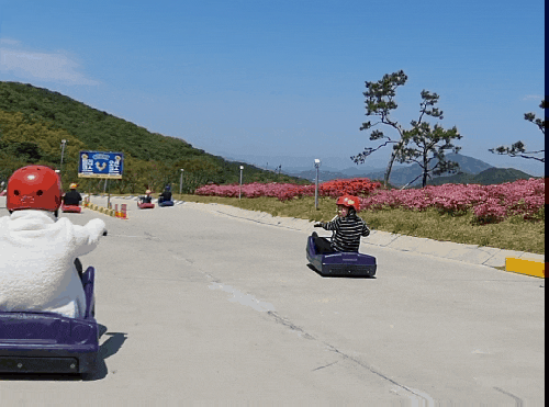 코스 영상 대한민국 최장18km 루지를 즐기자 강화 씨사이드 리조트 루지 할인 네이버 블로그