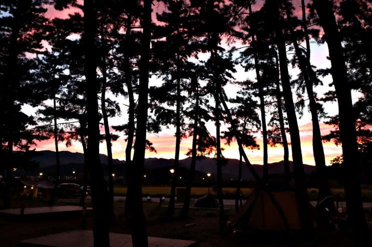 [JStour] 강원도 삼척 맹방비치캠핑장 명당 추천(전 사이트 리뷰, A17 후기) : 네이버 블로그