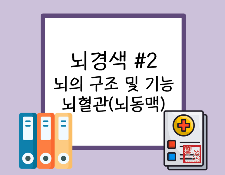 [NR, 신경과] 뇌경색#2 뇌의 기능 및 구조 / 뇌혈관 (feat. 경동맥) : 네이버 블로그