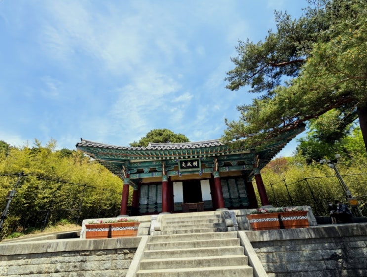 4월 강릉여행 / 오죽헌 - 보물 / 자경문 / 오죽 / 모란꽃 핀 오죽헌 / 율곡 이이 초상화 - 문성사 / 율곡송 / 배롱 ...