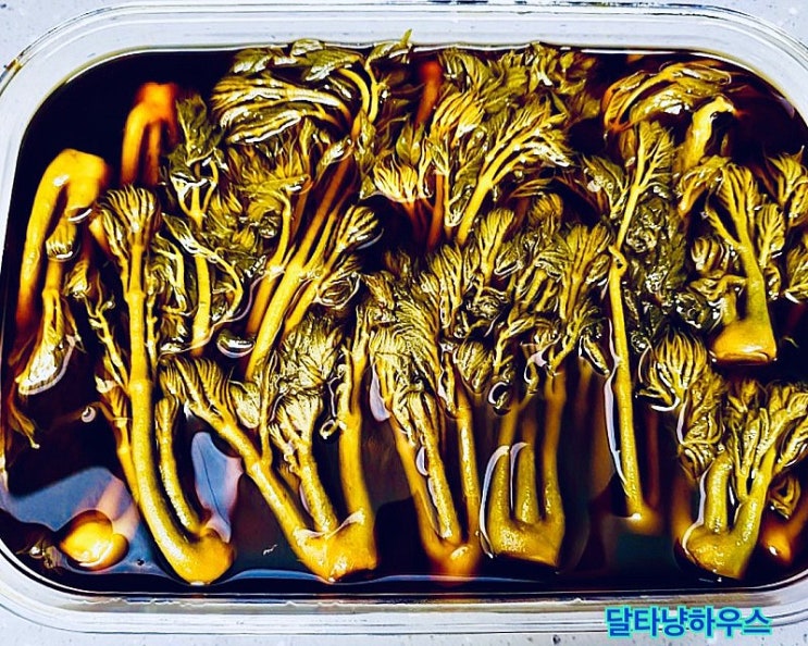 두릅장아찌 두릅장아찌만드는법 두릅장아찌만들기 두릅장아찌 간장 두릅장아찌담그는법 두릅장아찌 숙성 두릅요리 네이버 블로그