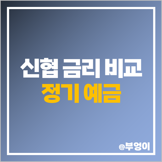 신협 정기 예금 금리 비교 특판 이자 높은 곳 대구 제주 및 예금자 보호 한도 네이버 블로그