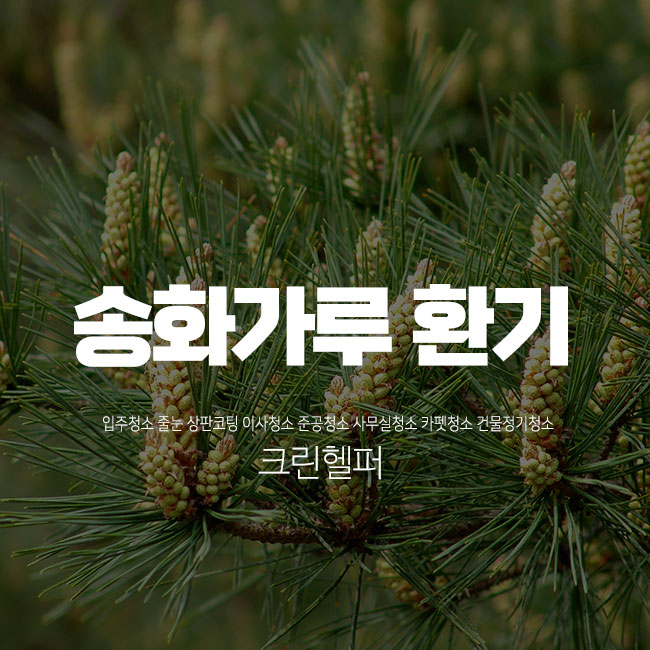 송화가루 환기 시간 날리는 시기 청소 방법 네이버 블로그