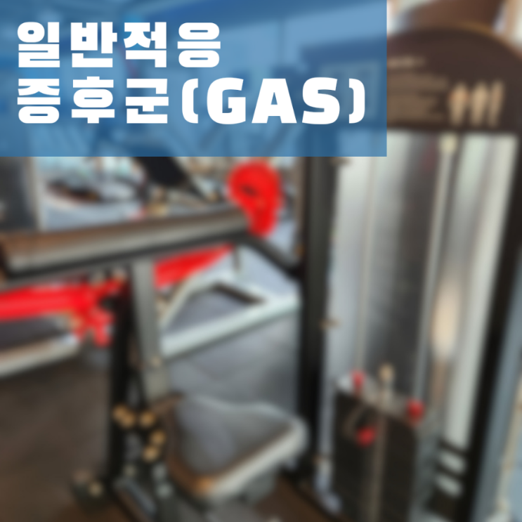 일반적응증후군(GAS, General Adaptation Syndrome) : 네이버 블로그