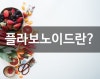플라보노이드가 많은 음식 And 플라보노이드 효능무지개 식단 네이버 블로그