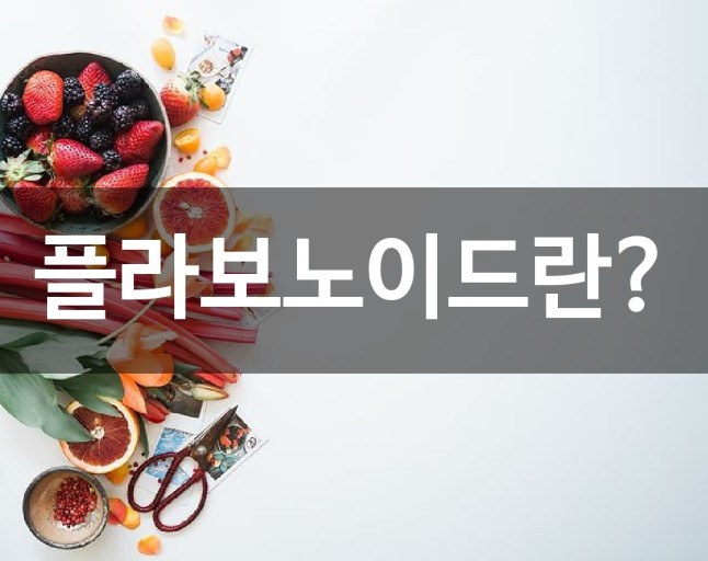 플라보노이드가 많은 음식 And 플라보노이드 효능무지개 식단 네이버 블로그