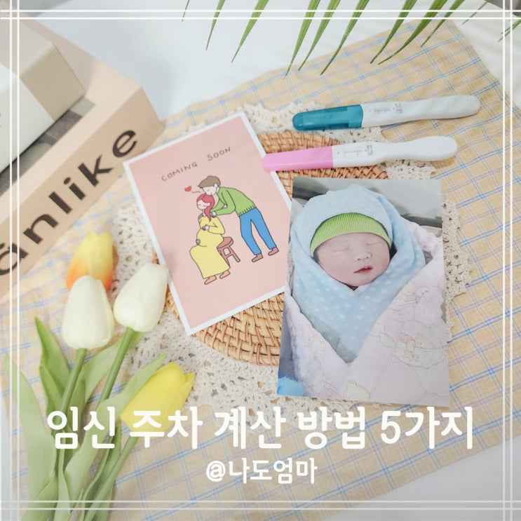 임신 주차 계산 분만예정일 임신 주수 계산기 기준일 출산예정일 계산하는법 네이버 블로그