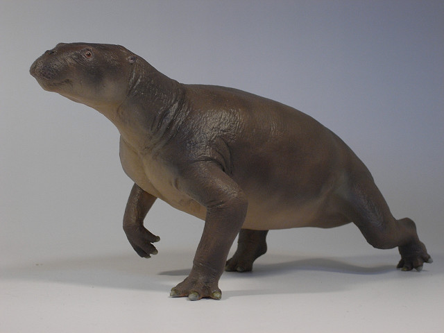 아쇼로아 : 네이버 블로그