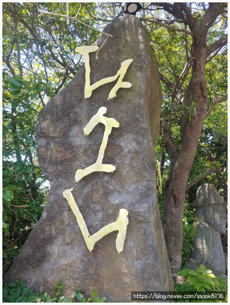 제주 버스터미널 근처 비건식 맛집 다소니 고즈넉한 분위기는 덤 : 네이버 블로그