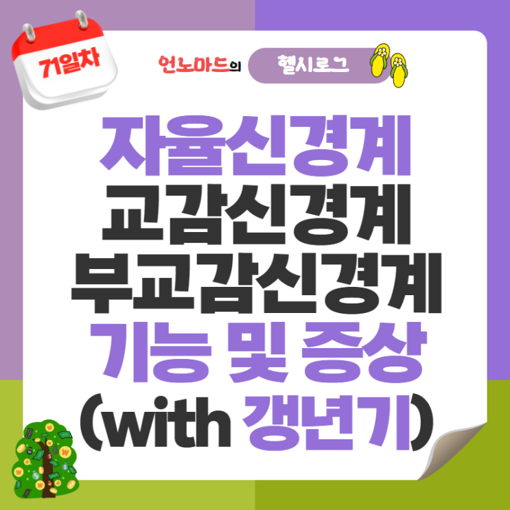 71일차 자율신경계인 교감신경계 부교감신경계의 기능 및 증상with 갱년기 네이버 블로그