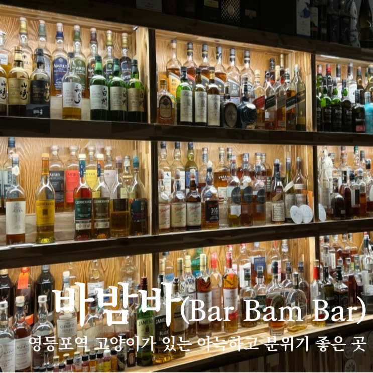 영등포 바밤바 칵테일펍/위스키바 고양이가 있는 분위기 좋은 곳(Bar Bam Bar) : 네이버 블로그