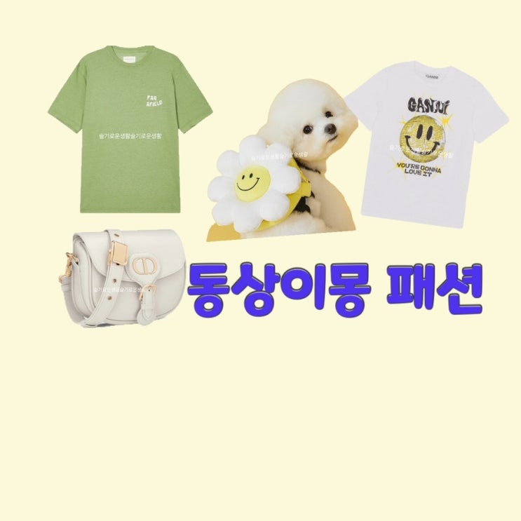 현영 박군 스마일 티셔츠 가방 강아지 하네스 오월이 끈 선물 동상이몽290회 옷 패션 네이버 블로그