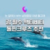 괌 돌핀크루즈 괌 자유여행 필수 돌고래투어 Best 4 나에게 맞는 돌핀크루즈 추천 네이버 블로그