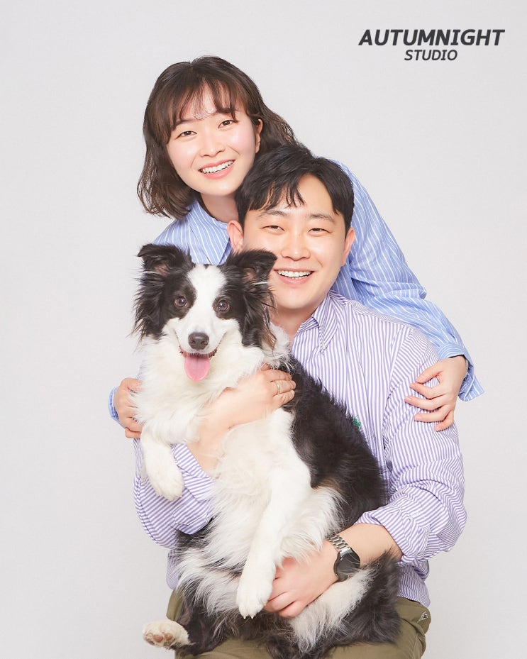 천안 가족사진 강아지랑 가족사진은 가을밤사진관 후기 반려견과 함께 네이버 블로그